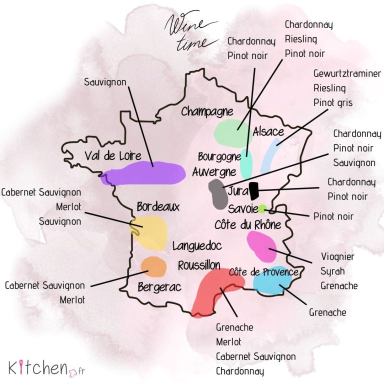 Guide des meilleurs cépages en France